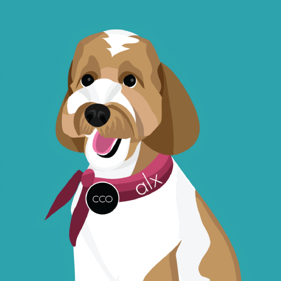 ALX Community - General Rules, Benefits, Services and Terms